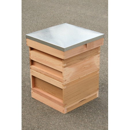 National Hive (1st Quality)